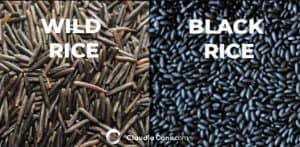 Wild Rice, How To Cook It And Why Eat It 🌾 Claudia Canu