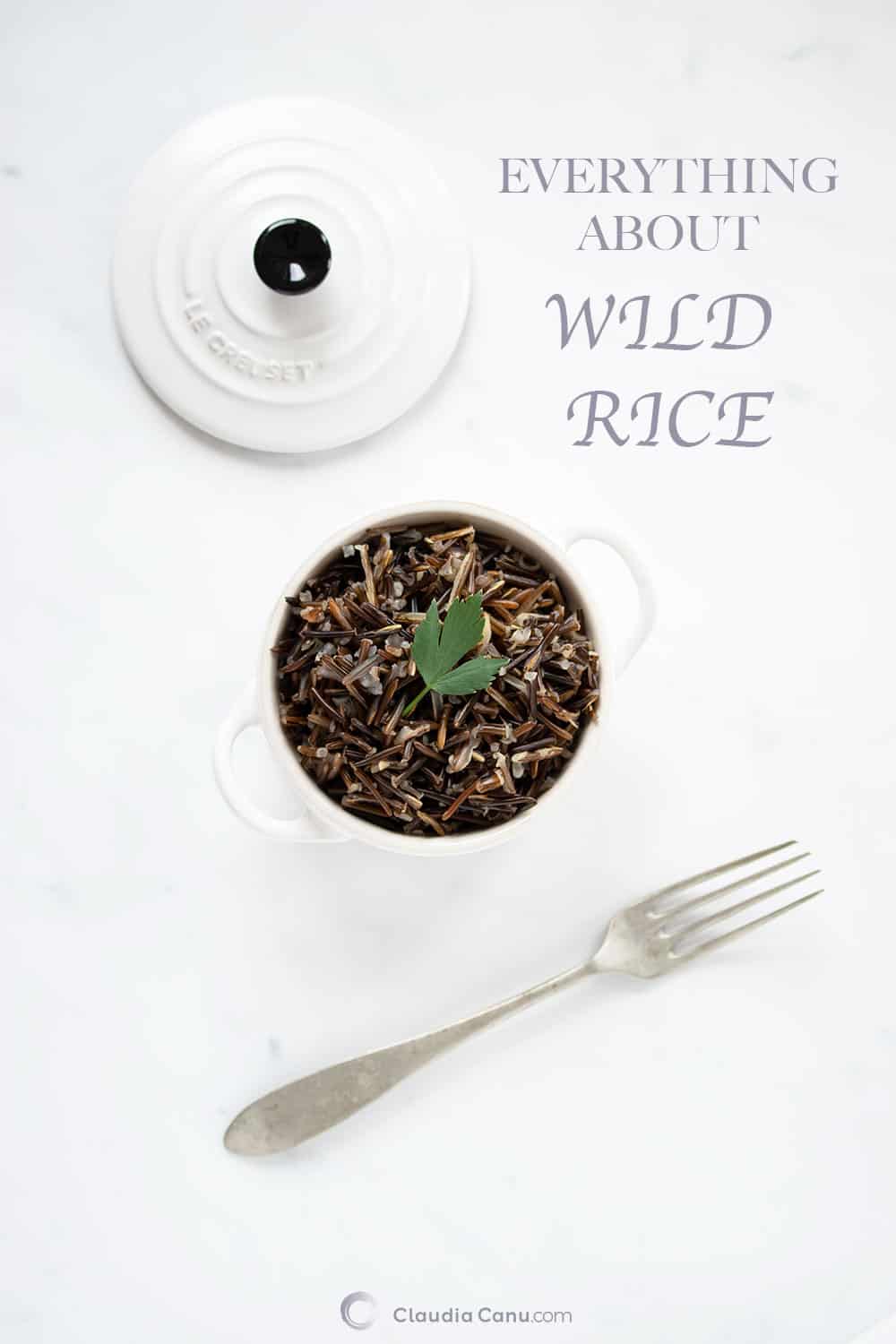 Wild Rice, How To Cook It And Why Eat It 🌾 Claudia Canu